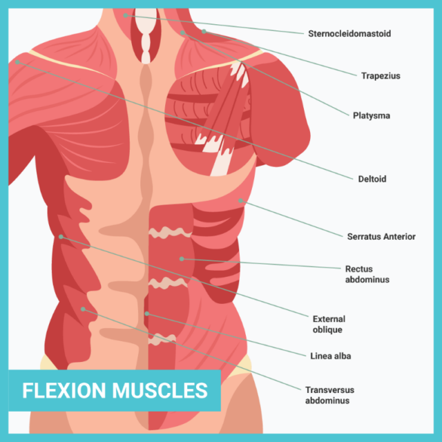 Muscle Spasm Armpit: Potential Causes And Treatments
